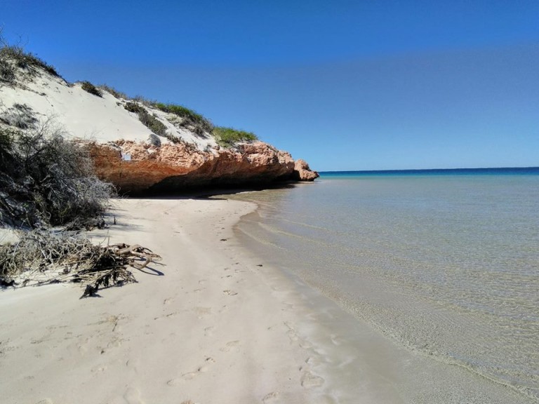 Coral reefs and emus: exploring Exmouth, Western Australia - The ...